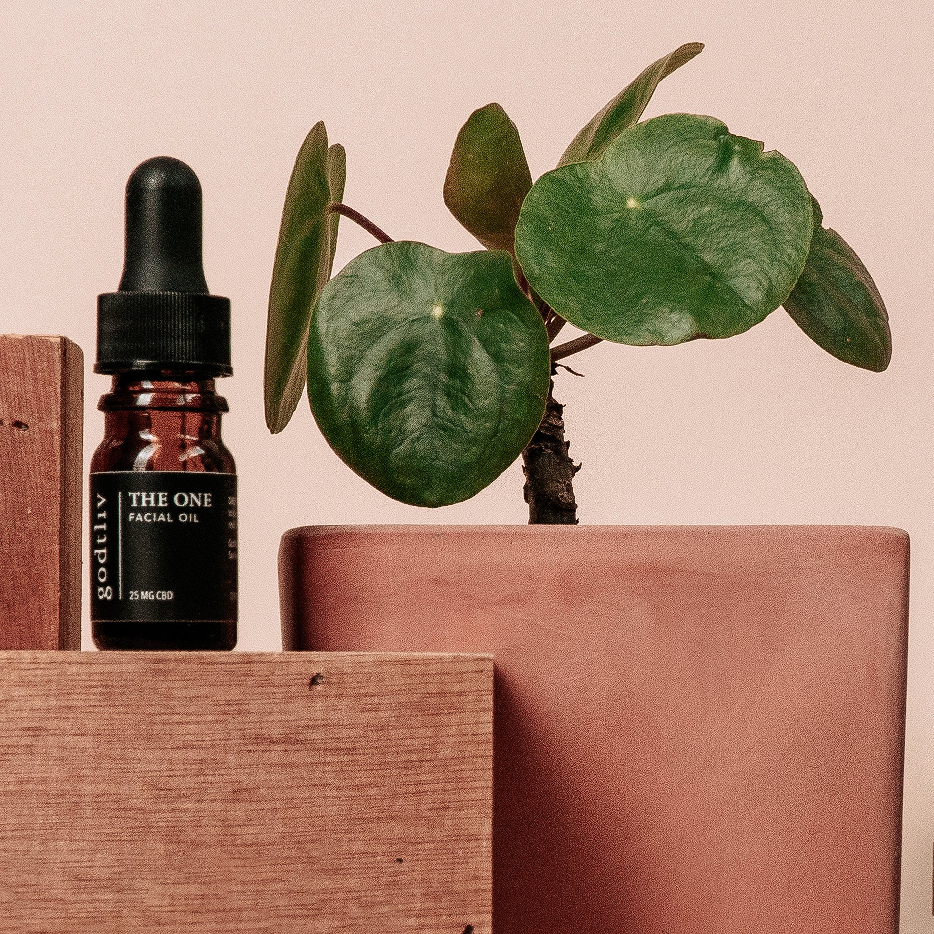 The One Facial Oil | Godtliv